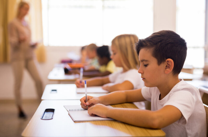 Opportunity Class Test Guide - The Swot Shop